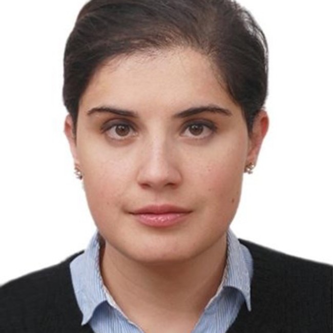 A Fragile Framework for Lasting Peace Between Armenia and Azerbaijan ...